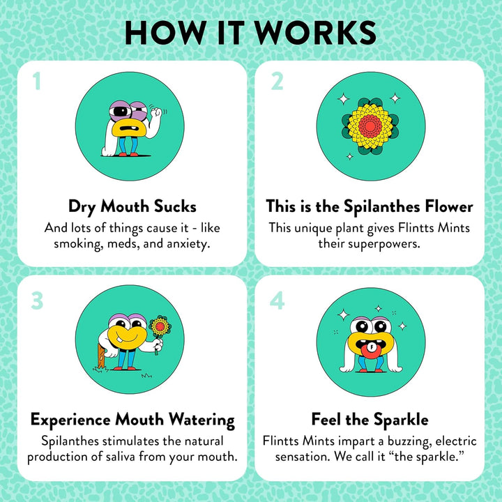 Mint 4-Pack – Flintts